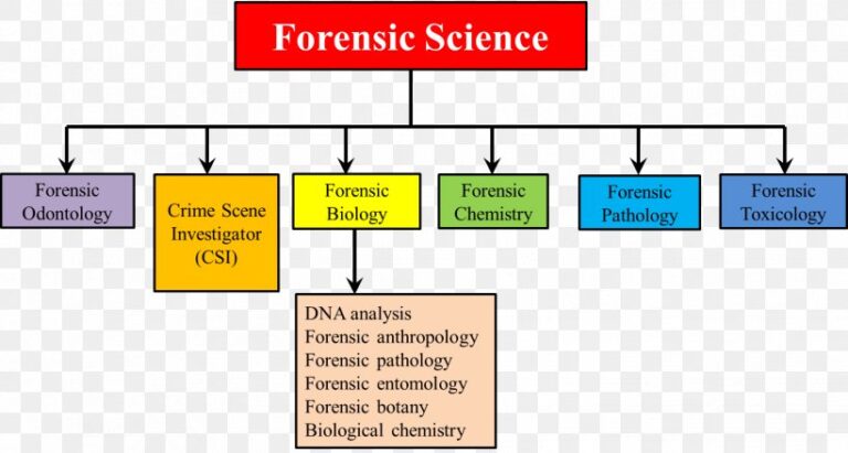 Certificate Course in Forensic Pathology – Institute of Mental Health (IMH)