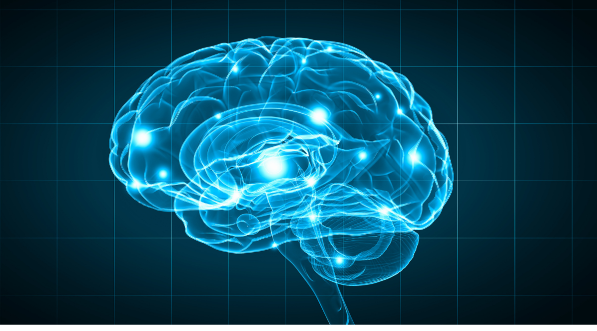 Advanced Diploma Course in Neuroscience – Institute of Mental Health (IMH)